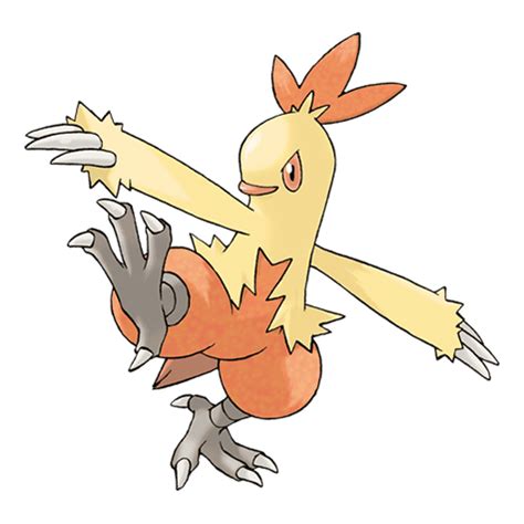Torchic Pokemon Stats Natures Moveset Evolution Type Matchup