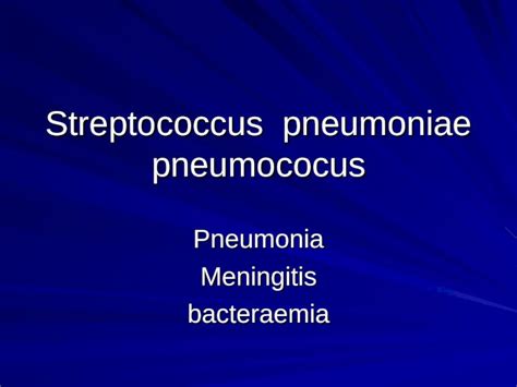 Ppt Streptococcus Pneumoniae Pneumococus Dokumentips