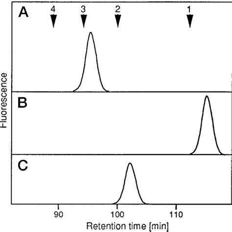 Superdex Peptide Column Chromatography Of The Tritium Labeled Acidic