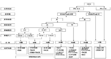 肝癌的分类与分期及肝移植的临床适应症 印塔健康官网