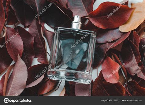 Mens Perfume Lies Red Leaves Mens Perfume Background Autumn Leaves