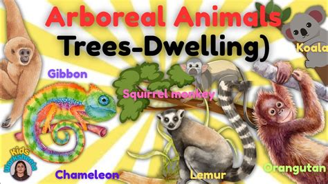 Life In The Treetops 20 Amazing Tree Animals Arboreal Animals
