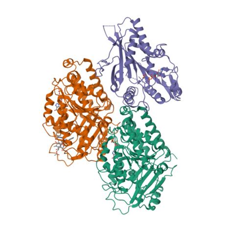 Rcsb Pdb 6mlr Cryo Em Structure Of Microtubule Bound Kif7 In The