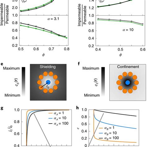 Trade Off Between Substrate Shielding And Confinement Of Download