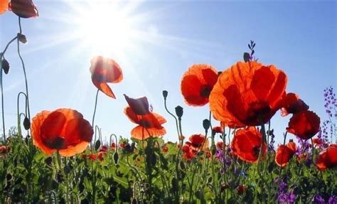 Bob De Wit Posted On Linkedin