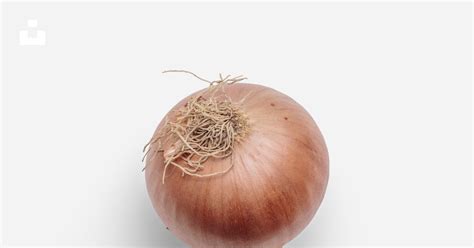 흰색 바탕에 갈색 양파 사진 Unsplash의 무료 음식 이미지