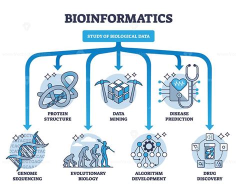 Bioinformatics As Study And Research Of Biological Data Outline Diagram