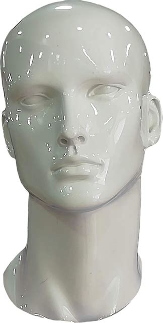 Download Mannequin Head Men Royalty Free Stock Illustration Image