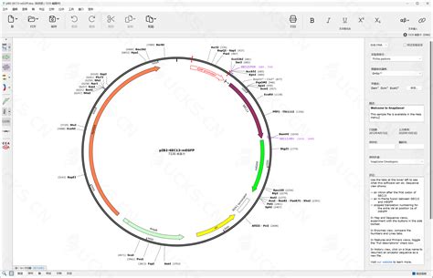 Chemdraw Professional Suite 23113破解版，专业的学术绘图工具 Ucks