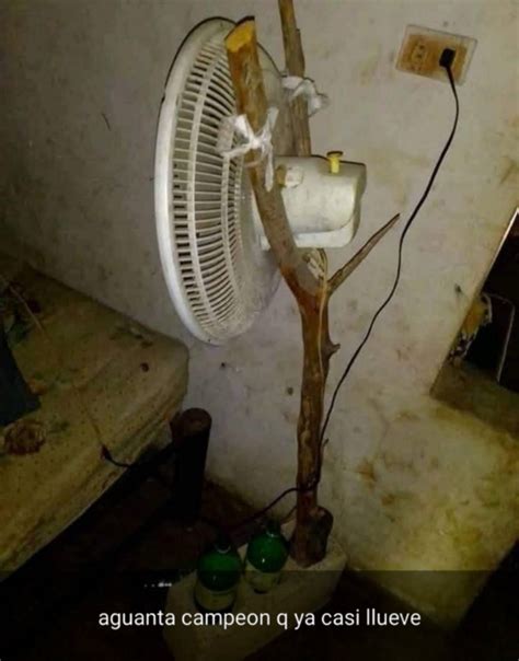 Memes De Abanicos Top 2 Memes De Regano