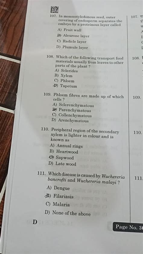 Which Disease Is Caused By Wuchereria Bancrofti And Wuchereria Malayi