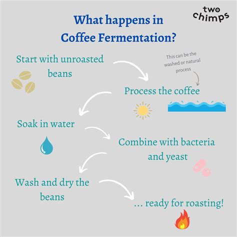 Fermentation Definition