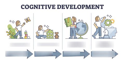 Piaget Cognitive Development Theory Diagram Quizlet