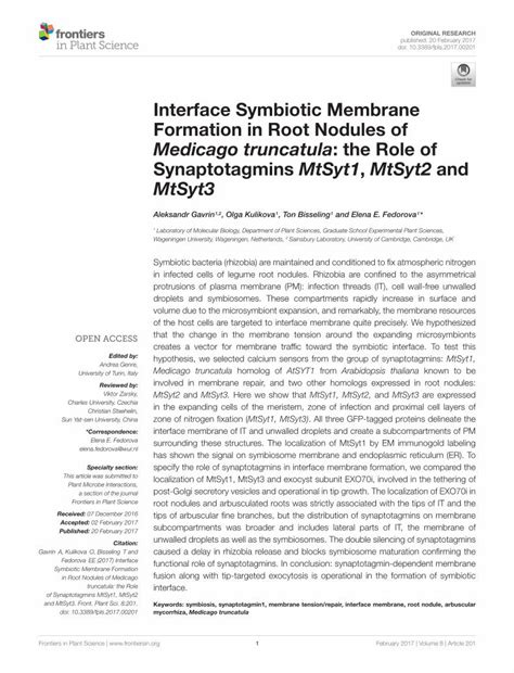 Pdf Interface Symbiotic Membrane Formation In Root Nodules Of