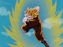 Goku Kamehameha  Dbz S