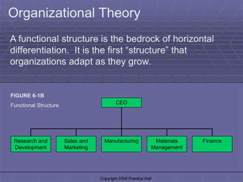 Organizational Structures Functional Divisional Matrix And Network