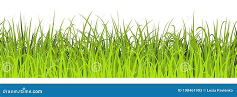 Spring Green Grass Seamless Illustration Green Meadow Border Stock