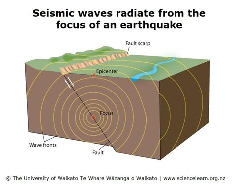Seismic Waves Artofit