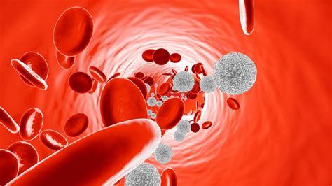 Microcytose Comment Détecter Et Traiter Cette Anomalie Du Sang