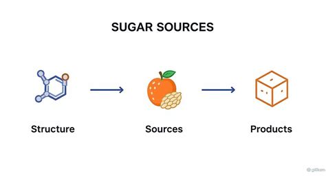 Difference Between Glucose And Fructose A Health Guide