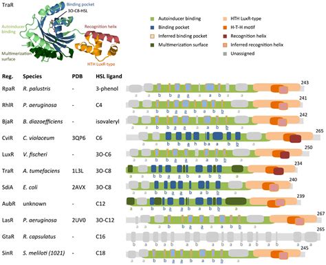 Comparative Biochemistry Examples