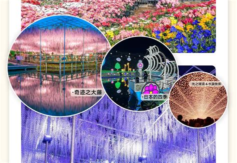 Isonoura Isozaki Jinja Shrine Hitachi Seaside Park And Ashikaga Flower
