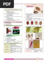 Trematode Species And Characteristics Pdf Parasitology Medical