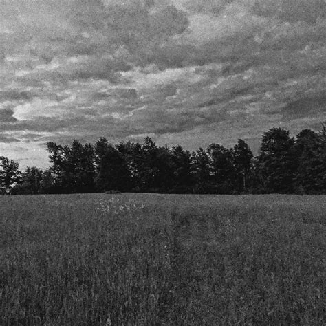 Andie Croghan Andie Croghan • Instagram Photos And Videos