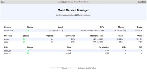 How To Install Monit Monitoring Tool On Ubuntu 2204