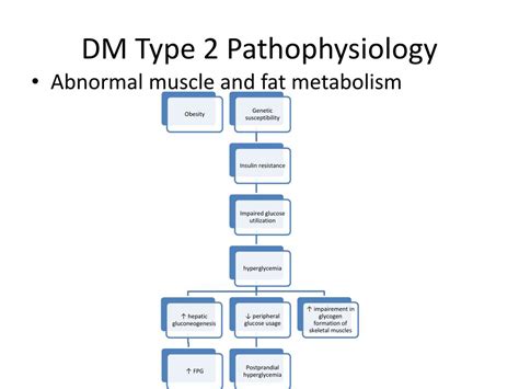 Ppt Diabetes Mellitus Type 2 Powerpoint Presentation Free Download