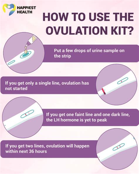 How Ovulation Kits Help Track Fertility Happiest Health