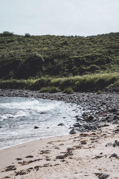 Premium Photo Opensea