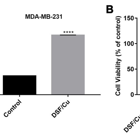 Dsfcu Induced Cytotoxicity In Tnbc Cells Is Mediated By Ros A