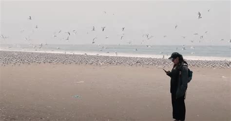 Playas De Ventanilla Aún No Son Aptas Para Bañistas Pese A Estudio Que