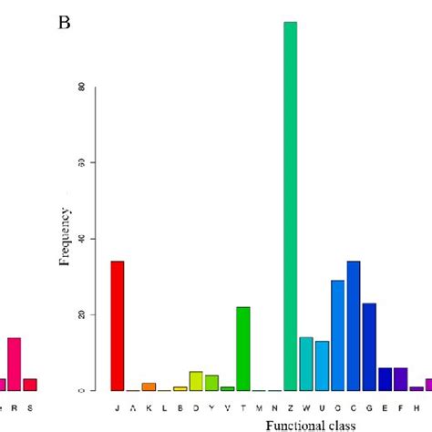 Kog Function Including 25 Classifications Analysis Of The Daps In The
