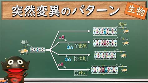 突然変異のパターン（置換・挿入・欠失）【116生物】 Youtube
