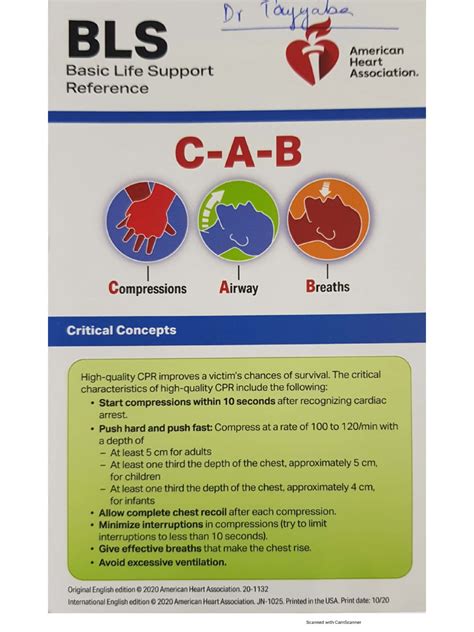 Aha American Heart Association Bls Guidelines Pdf