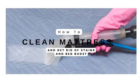How To Clean A Used Mattress For Bed Bugs Complete Guide House Cleanify