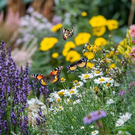21 Innovative Garden Ideas To Make It Amazing