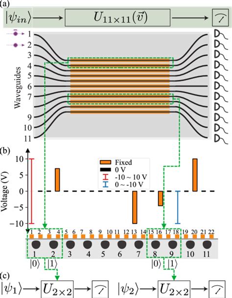 Programmable Quantum Circuits In A Large Scale Photonic Waveguide Array Karachi Chronicle