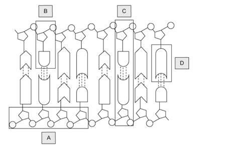 Dna Structure Coloring Worksheet Answer Key 2025