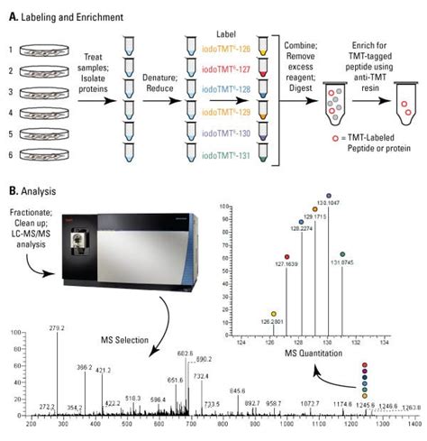 Pierce™ Iodotmtsixplex™ Isobaric Mass Tag Labeling Kit Thermo