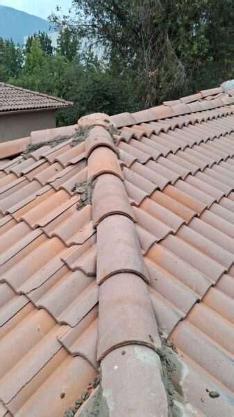 Tejas Corridas Techomania