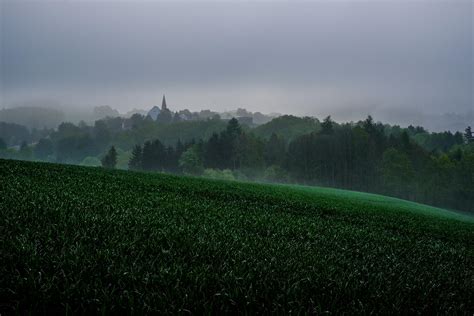 Wallpaper Grass Trees Fog Houses Landscape Hd Widescreen High Definition Fullscreen