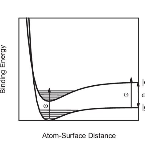 Schematic Representation Of The Atom Surface Interaction Potential In