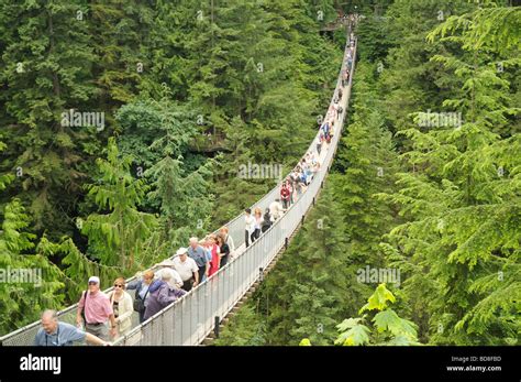 Capilano Suspension Bridge Refund At Alexander Feinstein Blog