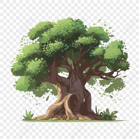 Oak Tree Vectorcartoonsticker Png Image And Clipart Image For Free