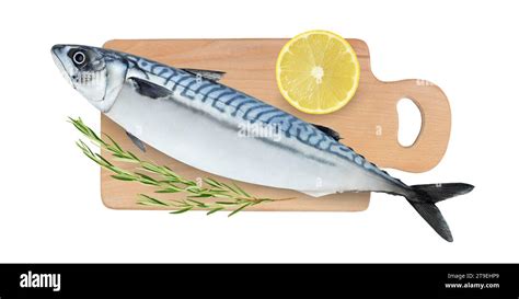 Raw Mackerel Fish On Cutting Board Isolated On A White Background With