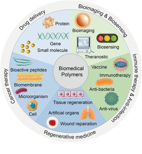Biomedical Polymers Synthesis Properties And Applications Groupe