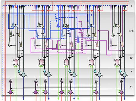 towards a mathematical theory of cortical micro circuits dileep george